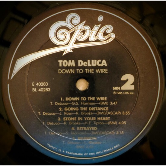 Tom DeLuca - Down To The Wire - 1986Plak Sesi